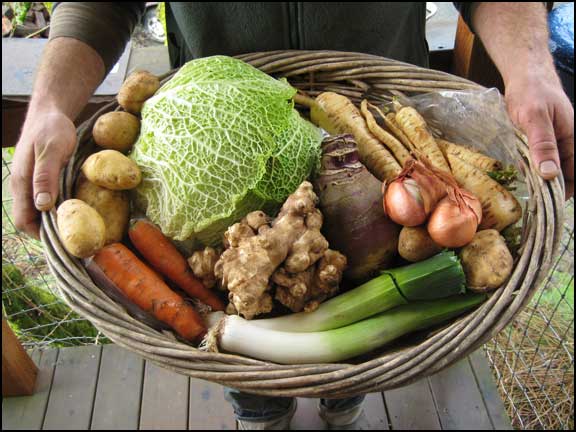 Planning your garden | Oakhill Organics